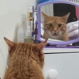 BotForge - ForgeScript Client Generator